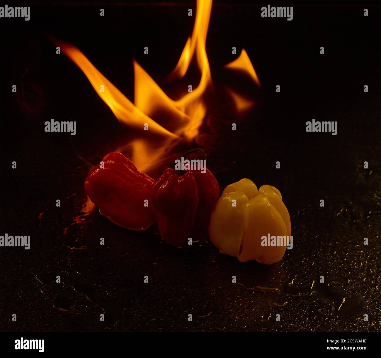 Scotch bonnet water droplets and flames food still life portrait Stock ...