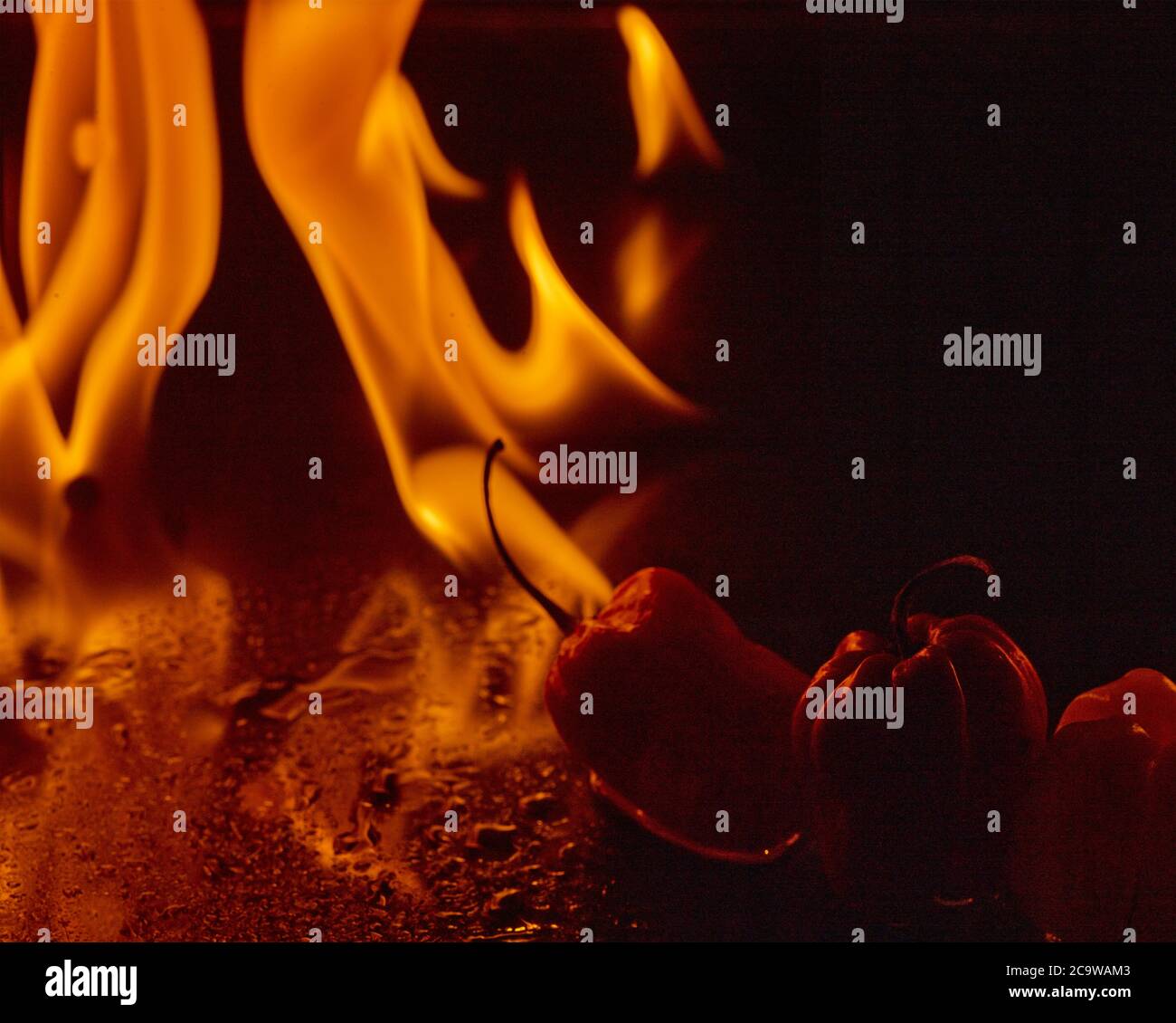 Scotch bonnet water droplets and flames food still life portrait Stock ...