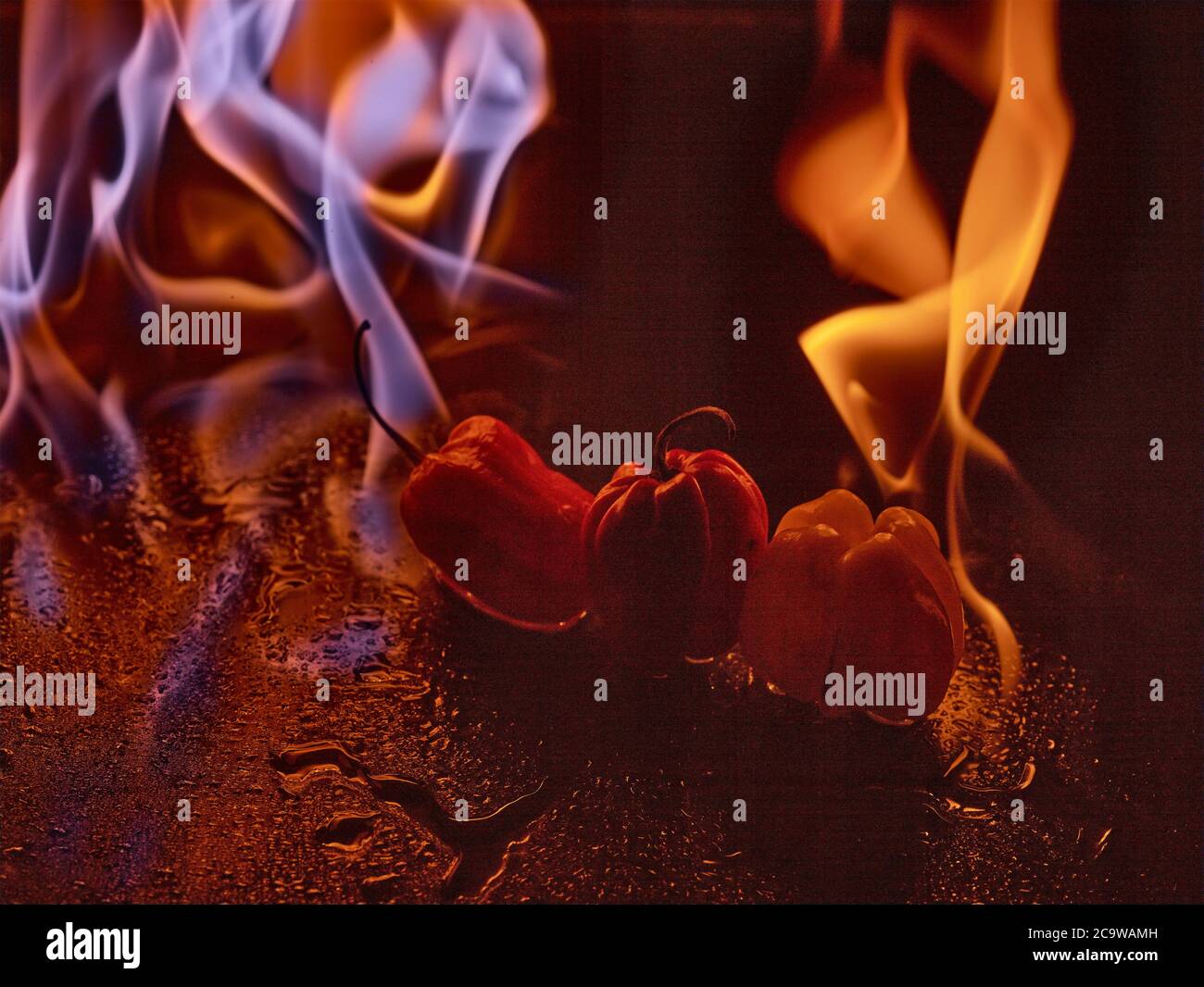 Scotch bonnet water droplets and flames food still life portrait Stock ...