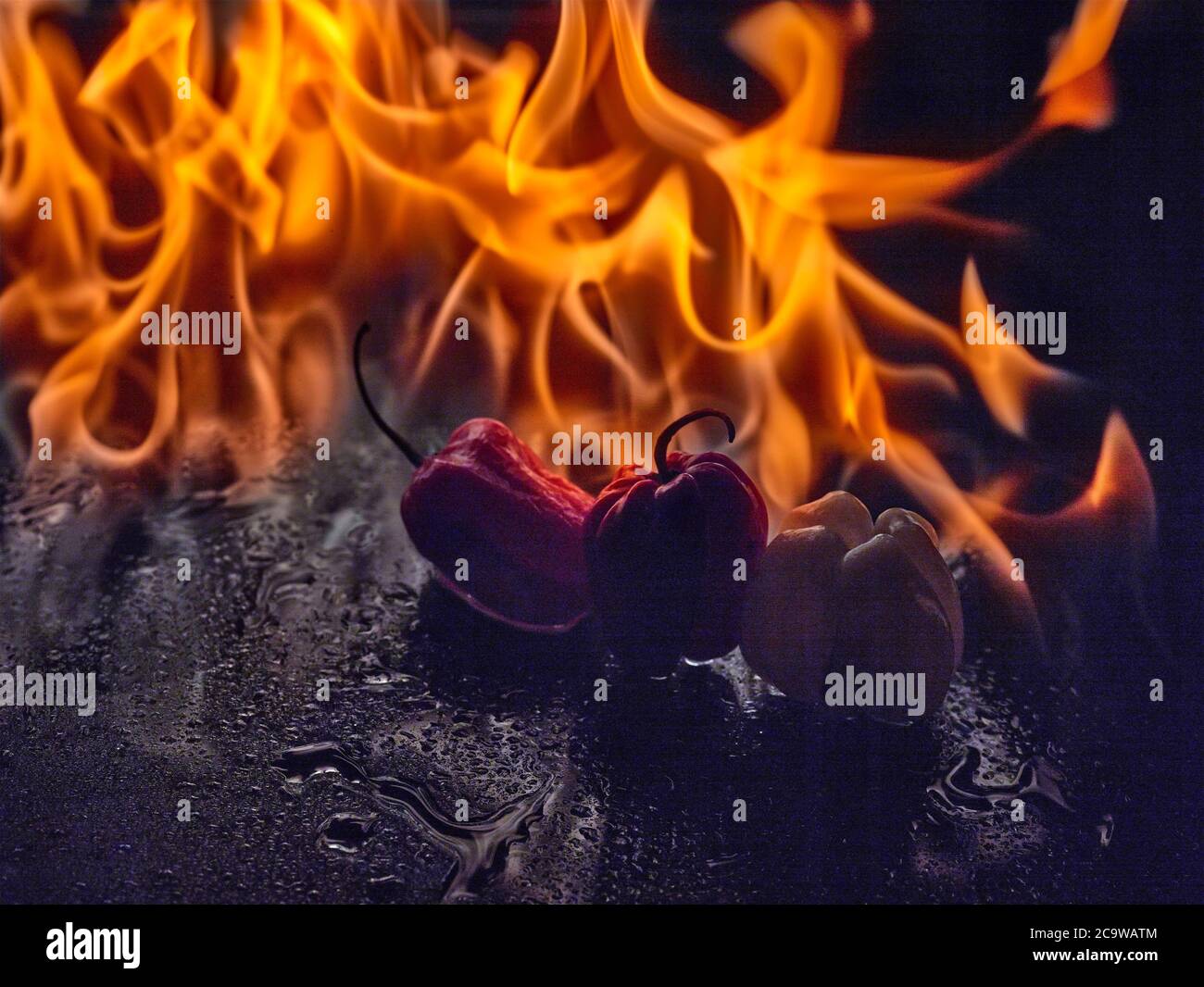 Scotch bonnet water droplets and flames food still life portrait Stock ...