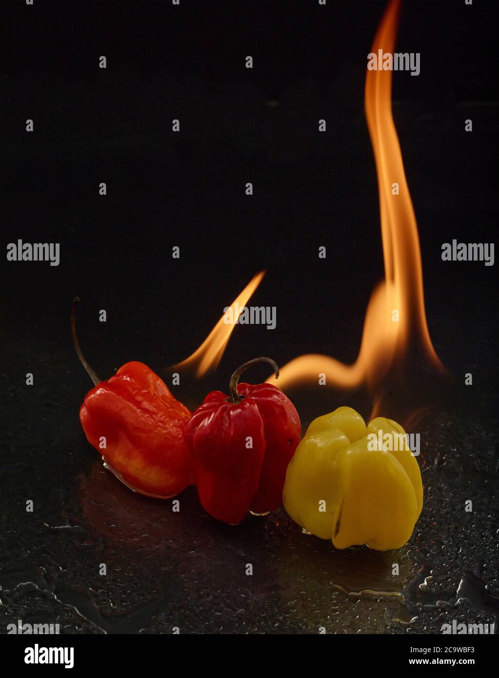 Scotch bonnet water droplets and flames food still life portrait Stock ...