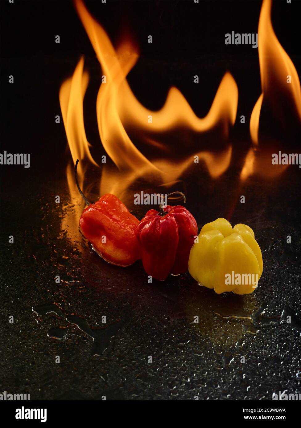 Scotch bonnet water droplets and flames food still life portrait Stock ...