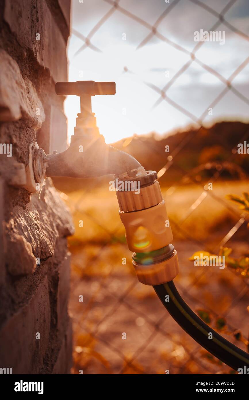 Water faucet with hose connector. Garden irrigation, summertime Stock ...