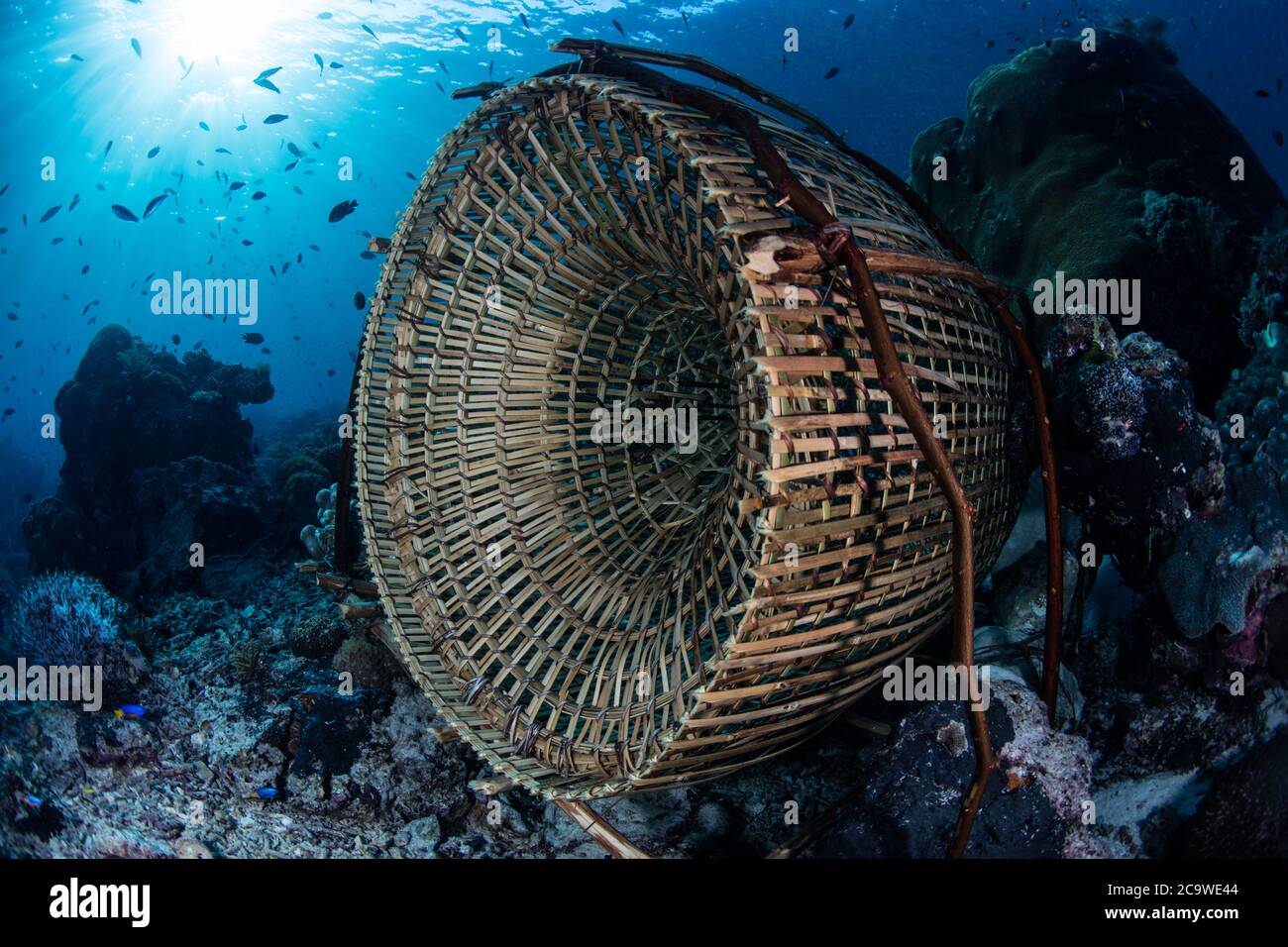 Fish Trap High Resolution Stock Photography and Images - Alamy