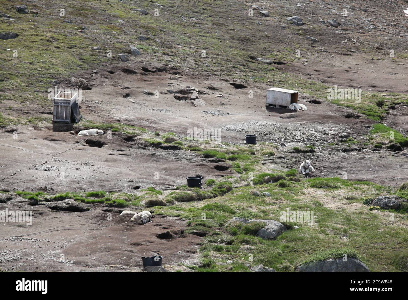 Tasiilaq is a town in the Sermersooq municipality in southeastern ...