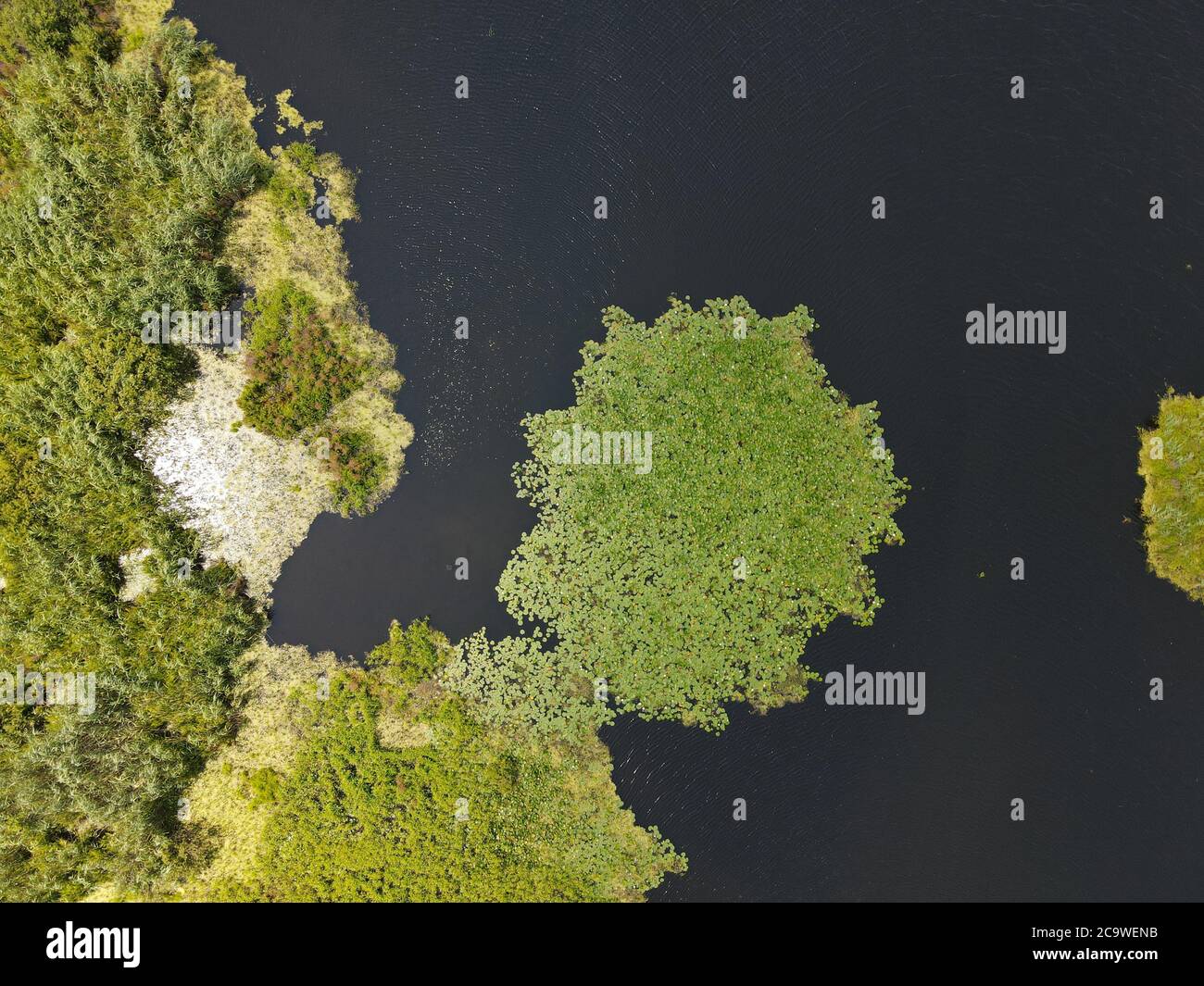 Discover romania danube delta hi-res stock photography and images - Alamy