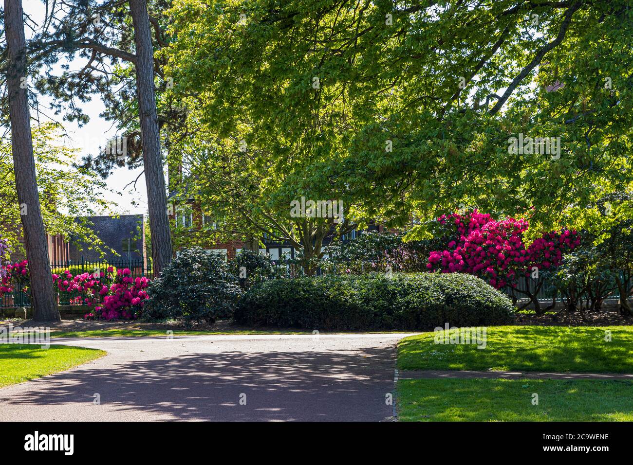 West Park Wolverhampton-A lovely place to relax Stock Photo - Alamy