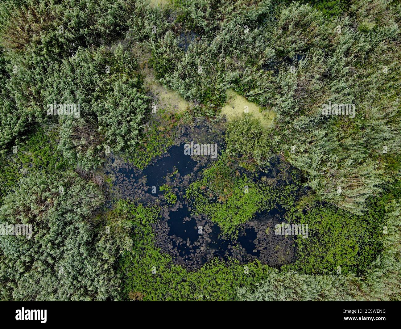 Discover romania danube delta hi-res stock photography and images - Alamy