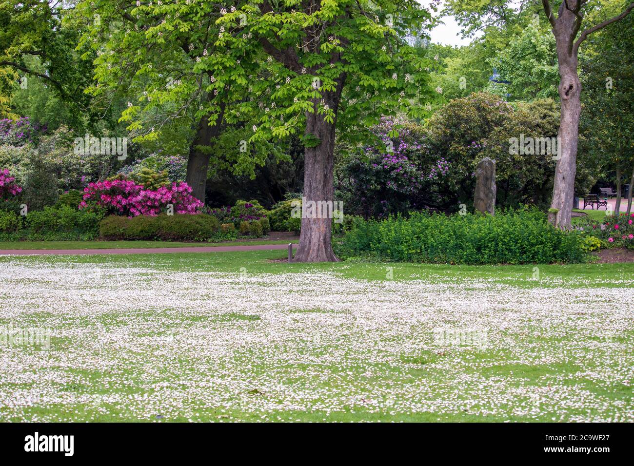 West Park Wolverhampton High Resolution Stock Photography and Images ...