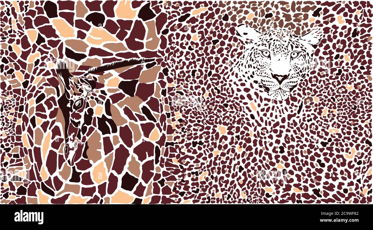Leopard print texture hi-res stock photography and images - Alamy