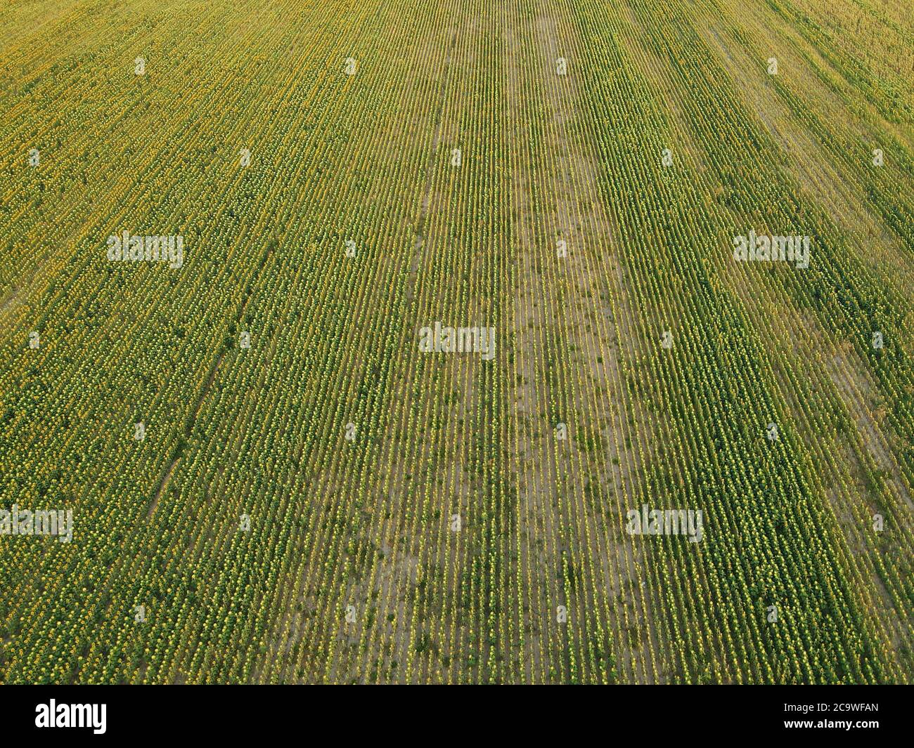 Aerial view romania hi-res stock photography and images - Alamy