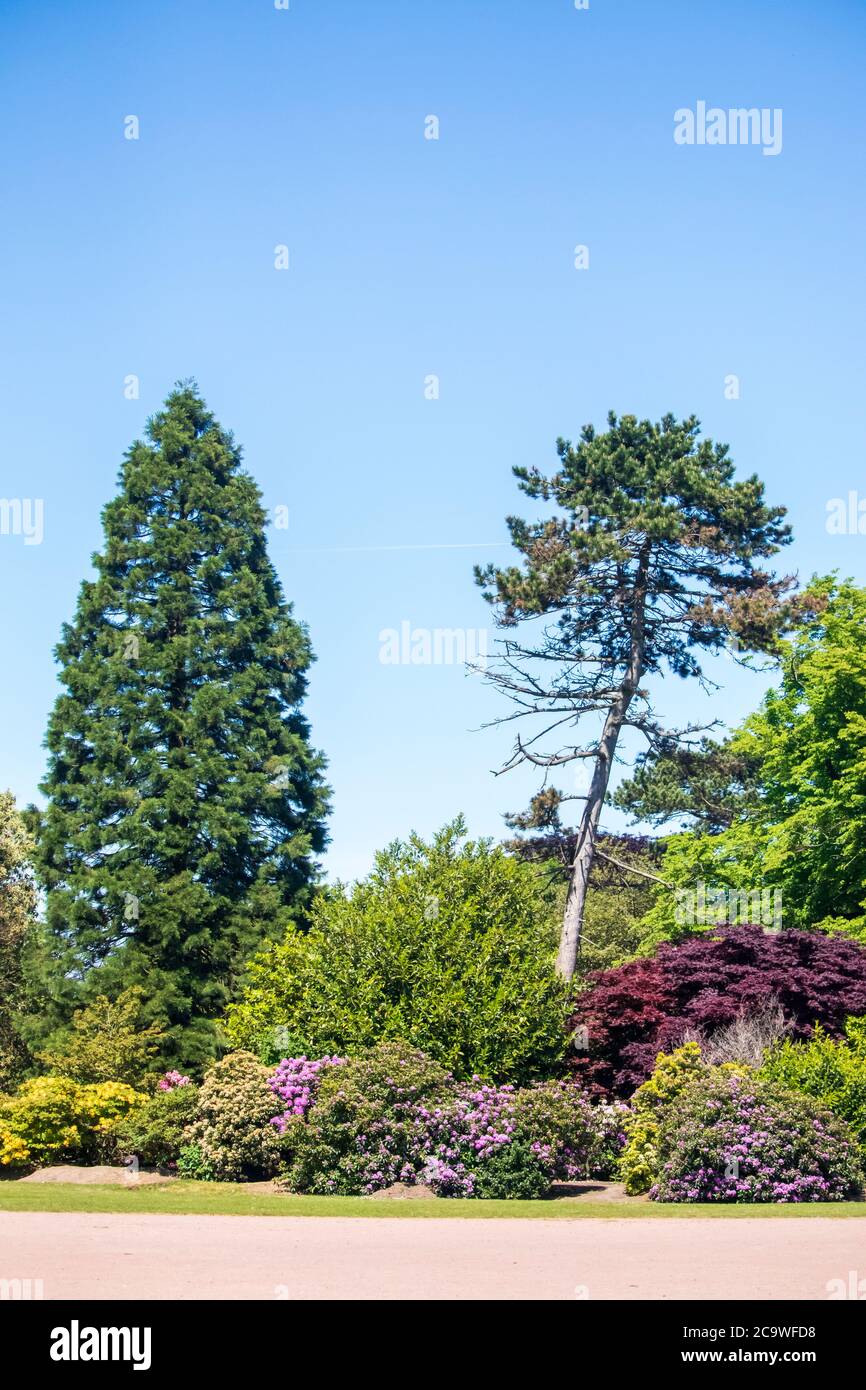 West Park Wolverhampton High Resolution Stock Photography and Images ...