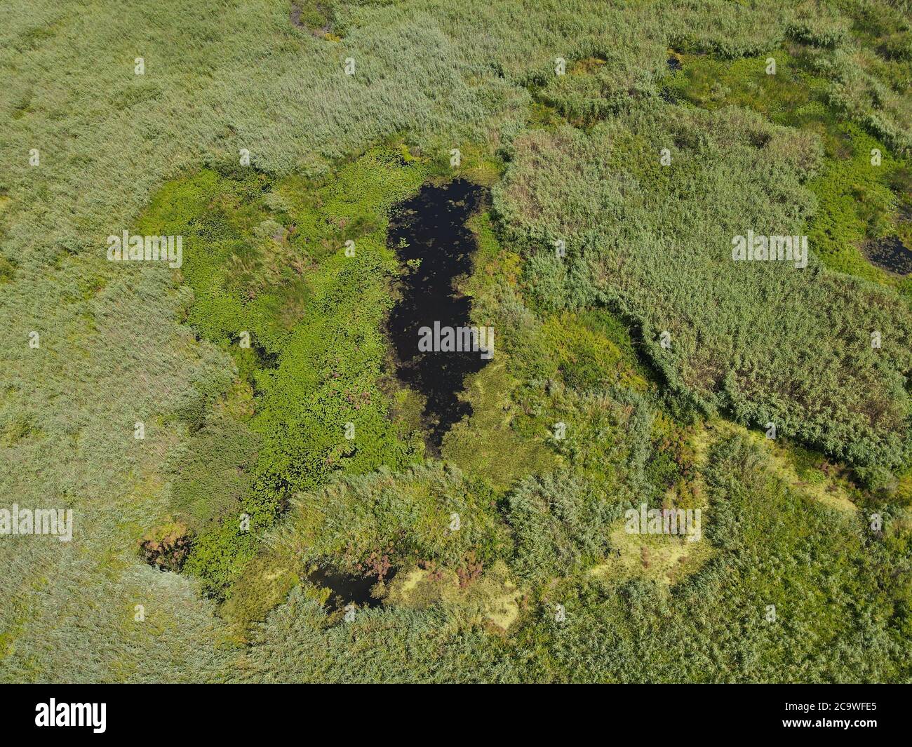 Danube Delta in Somova village, Dobrogea region, Romania. Aerial view ...