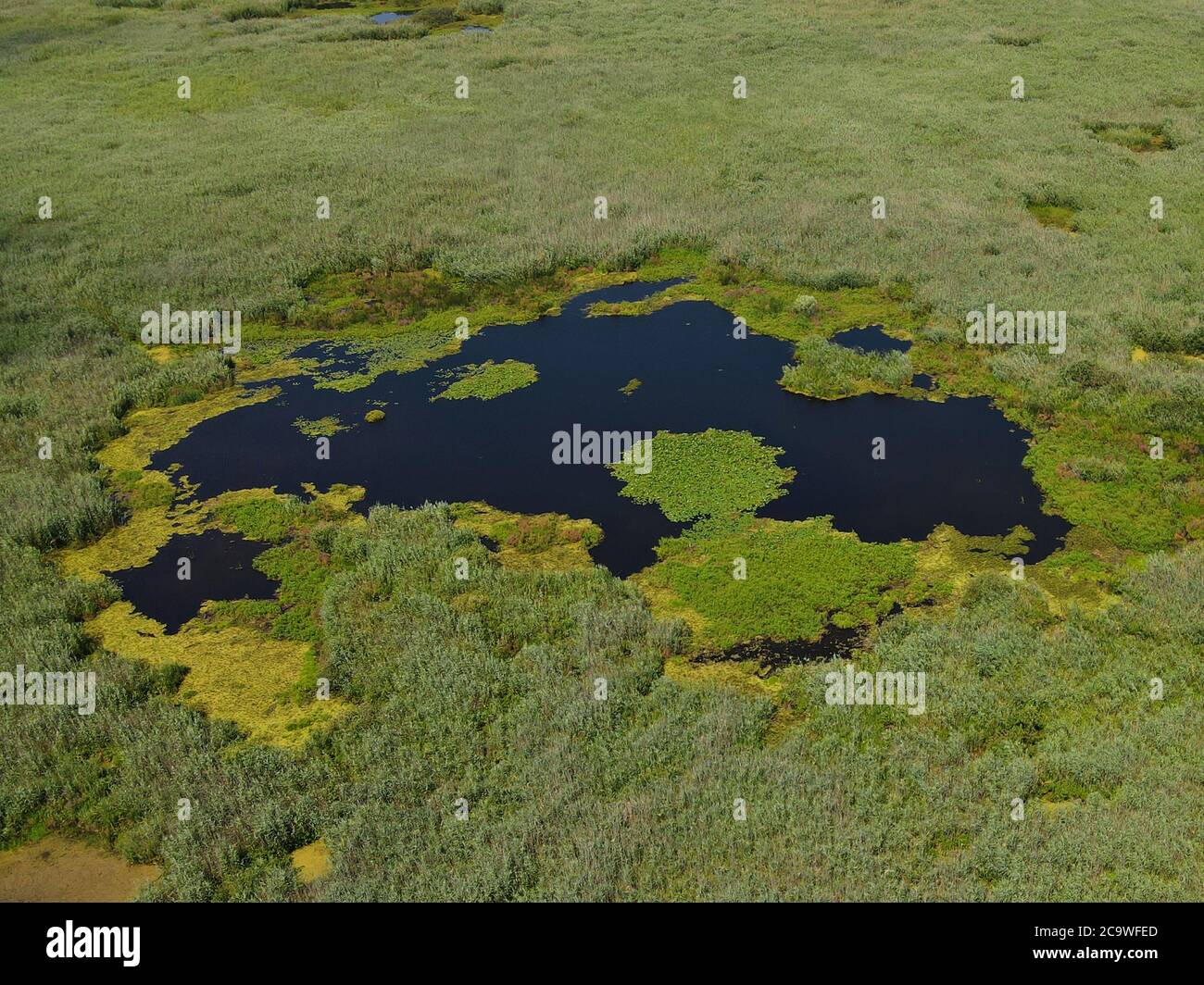Danube delta aerial hi-res stock photography and images - Alamy