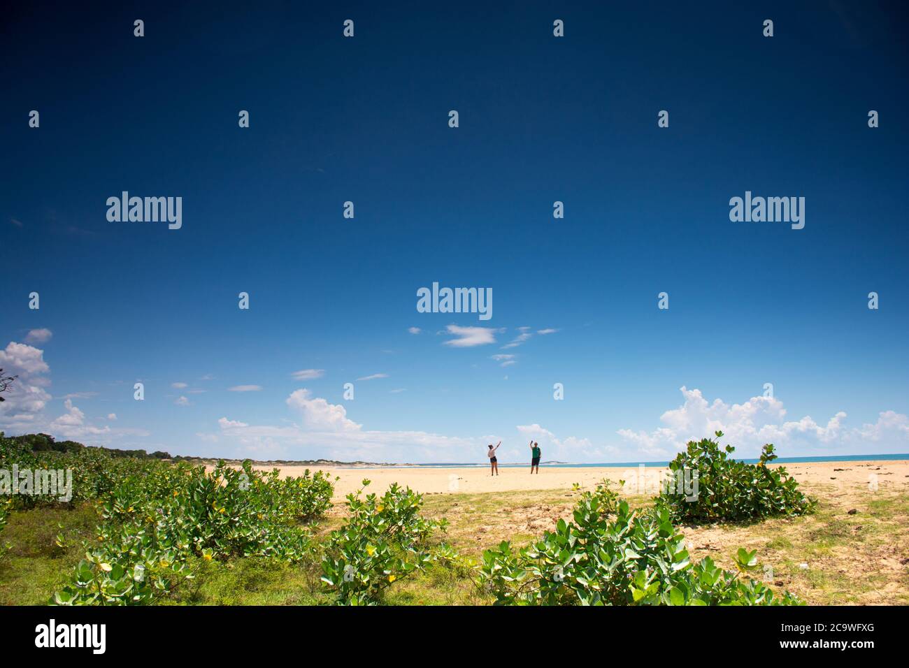 By the beach at yala national park in sri lanka hi-res stock ...