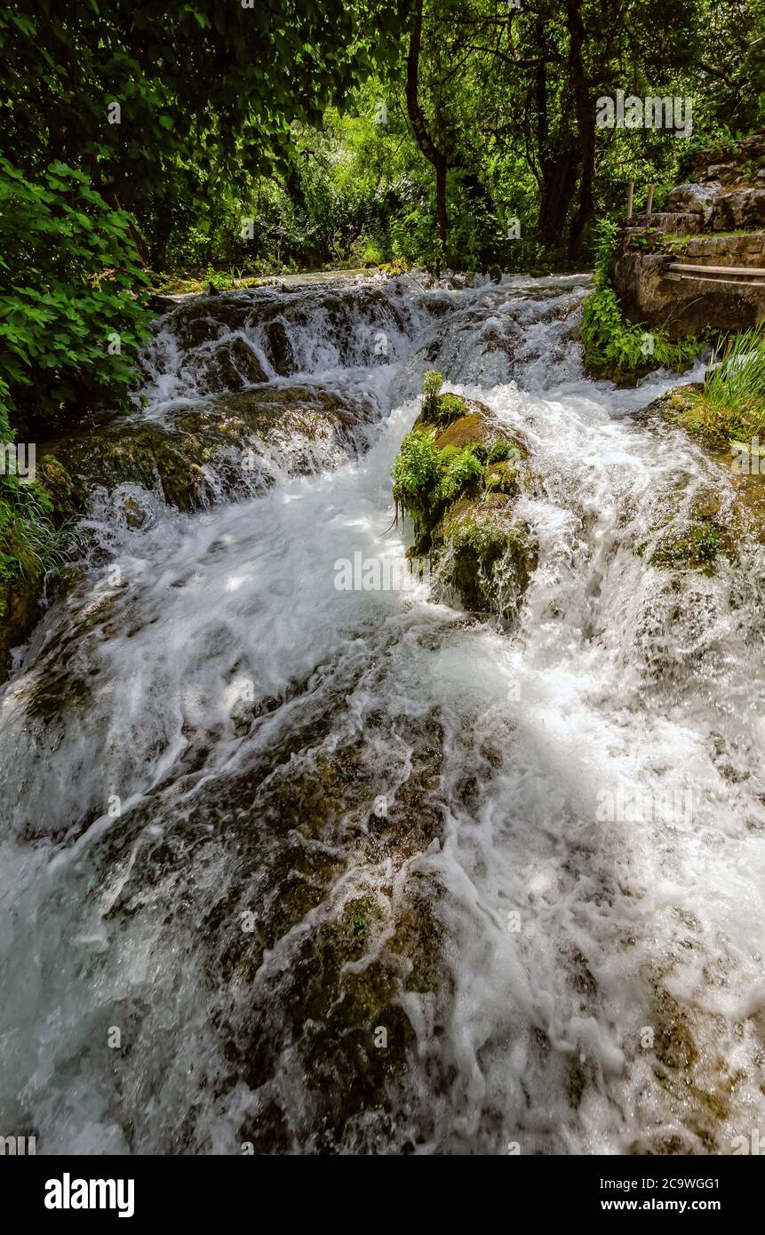 Wooden pathway trough the dense forest near Krka national park ...