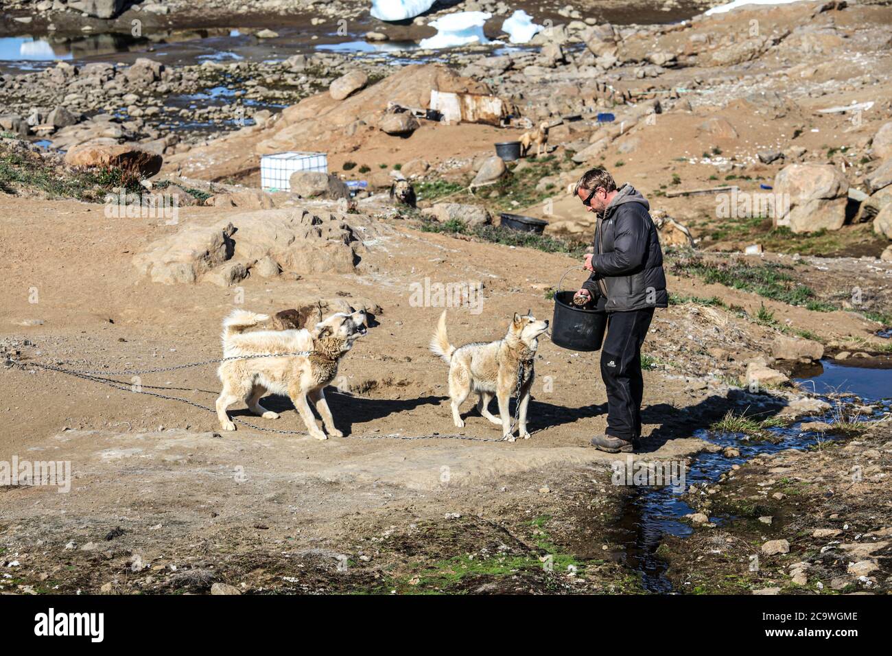 Tasiilaq is a town in the Sermersooq municipality in southeastern ...