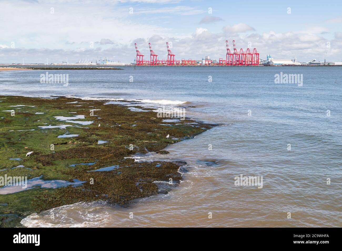 Shell on dock hi-res stock photography and images - Alamy