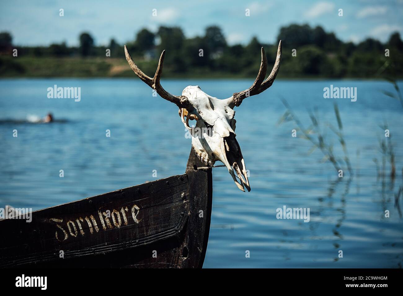 reconstruction of a Viking ship, a medieval barbarian drakkar, an old ...