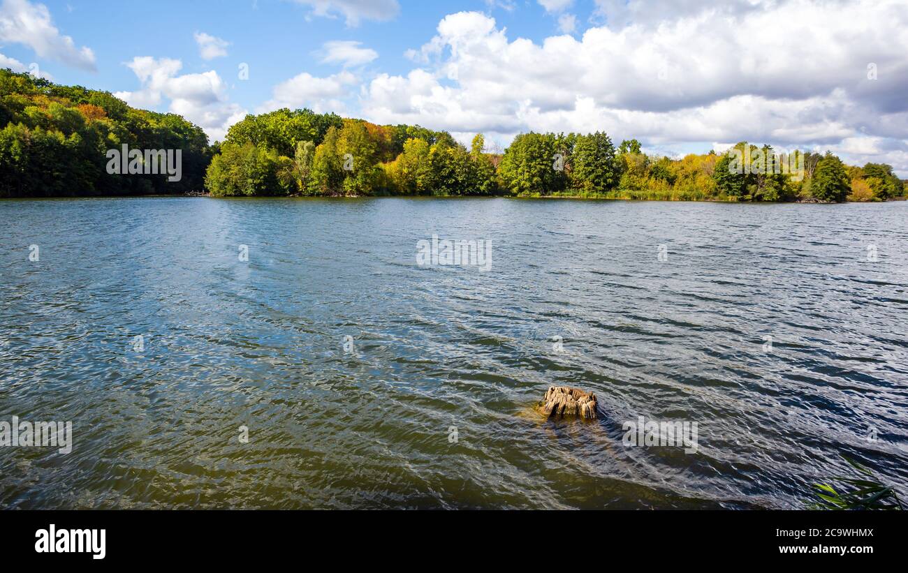 Nature landscape with river and plants Stock Photo - Alamy
