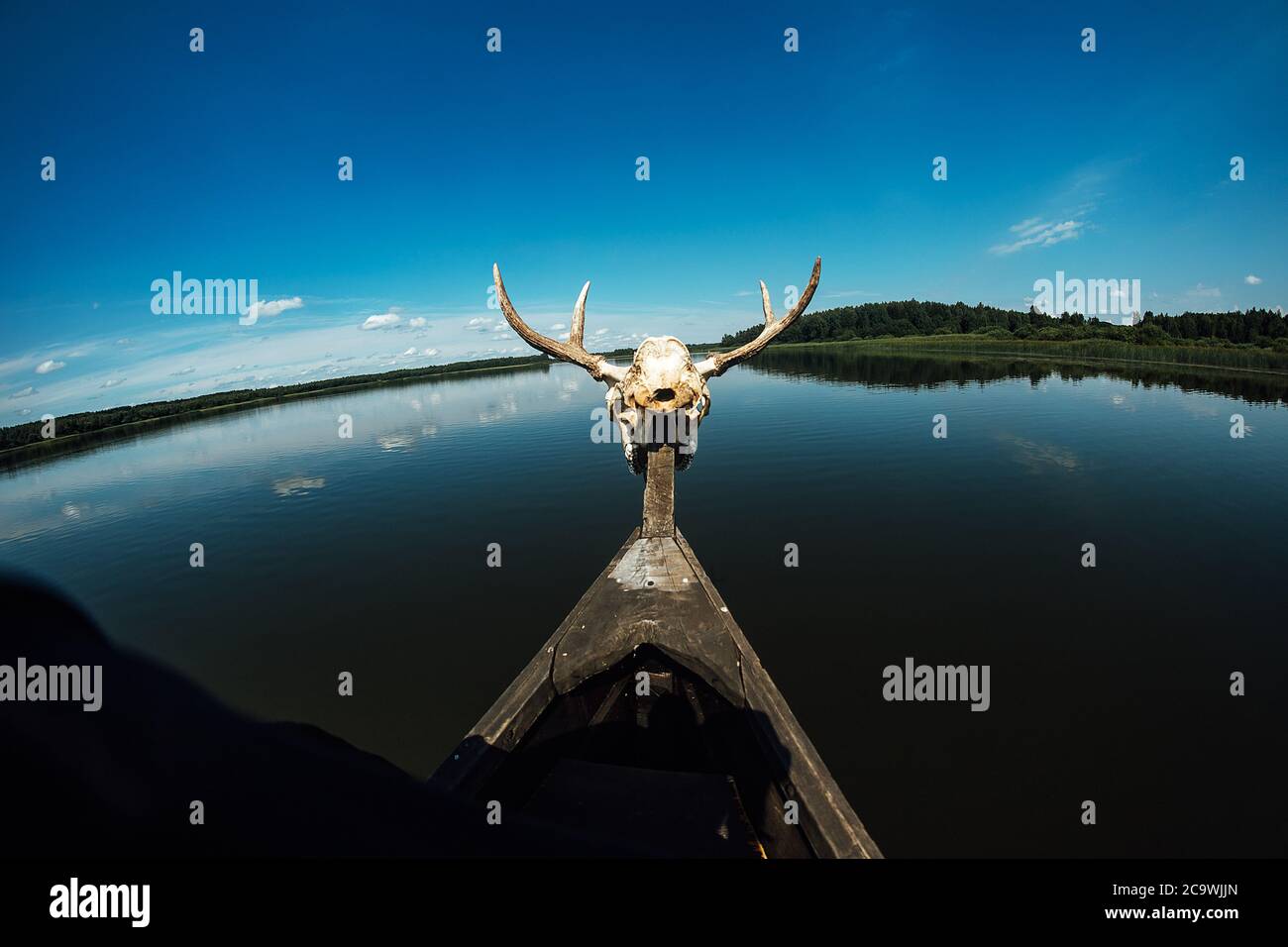animal skull on the bow of the ship, a symbol that frightens enemies ...
