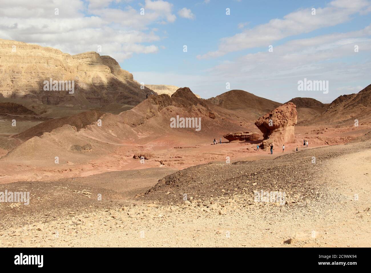 Timna mushroom hi-res stock photography and images - Alamy
