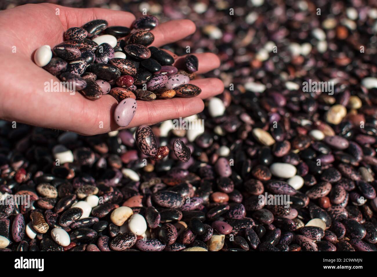 Pile of dried beans hi-res stock photography and images - Alamy