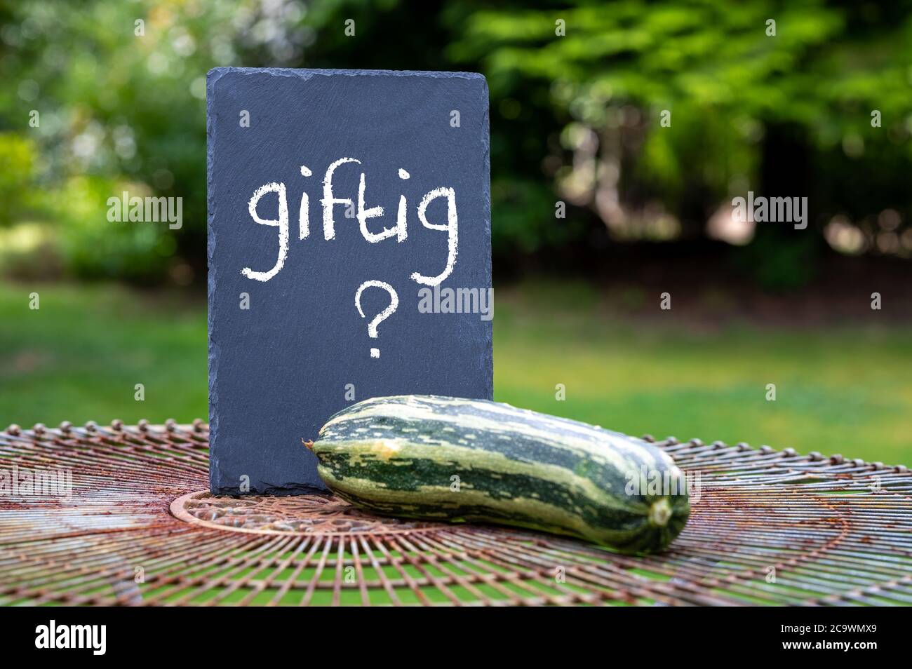 A zucchini fruit in front of a slate with the German text "giftig ...