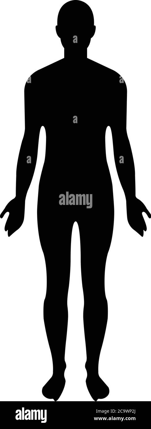 Outline of Human Body Stock Vector Image & Art - Alamy