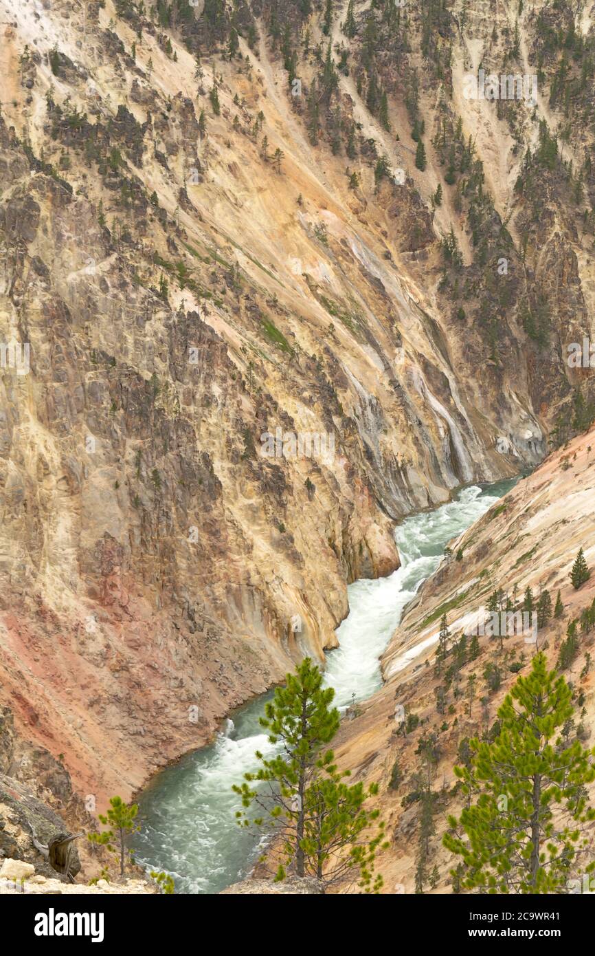 Yellowstone River in Yellowstone National Park Stock Photo - Alamy