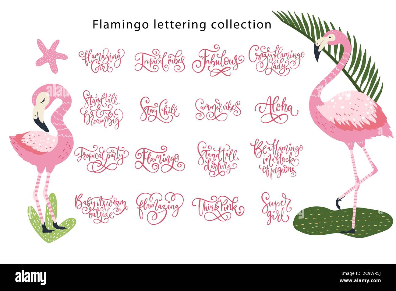 Summer lettering flamingo girly vector set. Summertime calligraphy ...