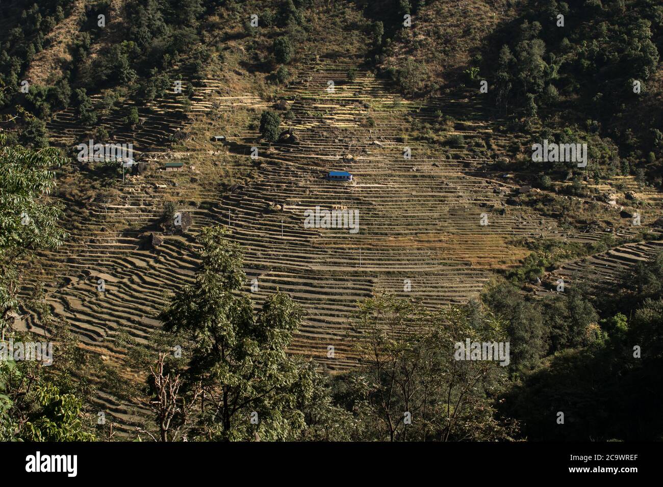 View over huts and terraced rice fields at Annapurna circuit in Nepal ...