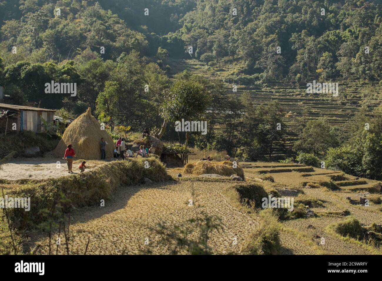 Family at a rural farm in the nepalese mountains, Annapurna circuit ...