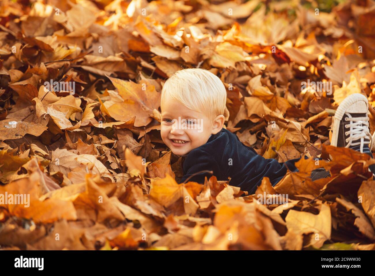 Fall leaves children concept. Child lying on the golden leaf. Boy child ...