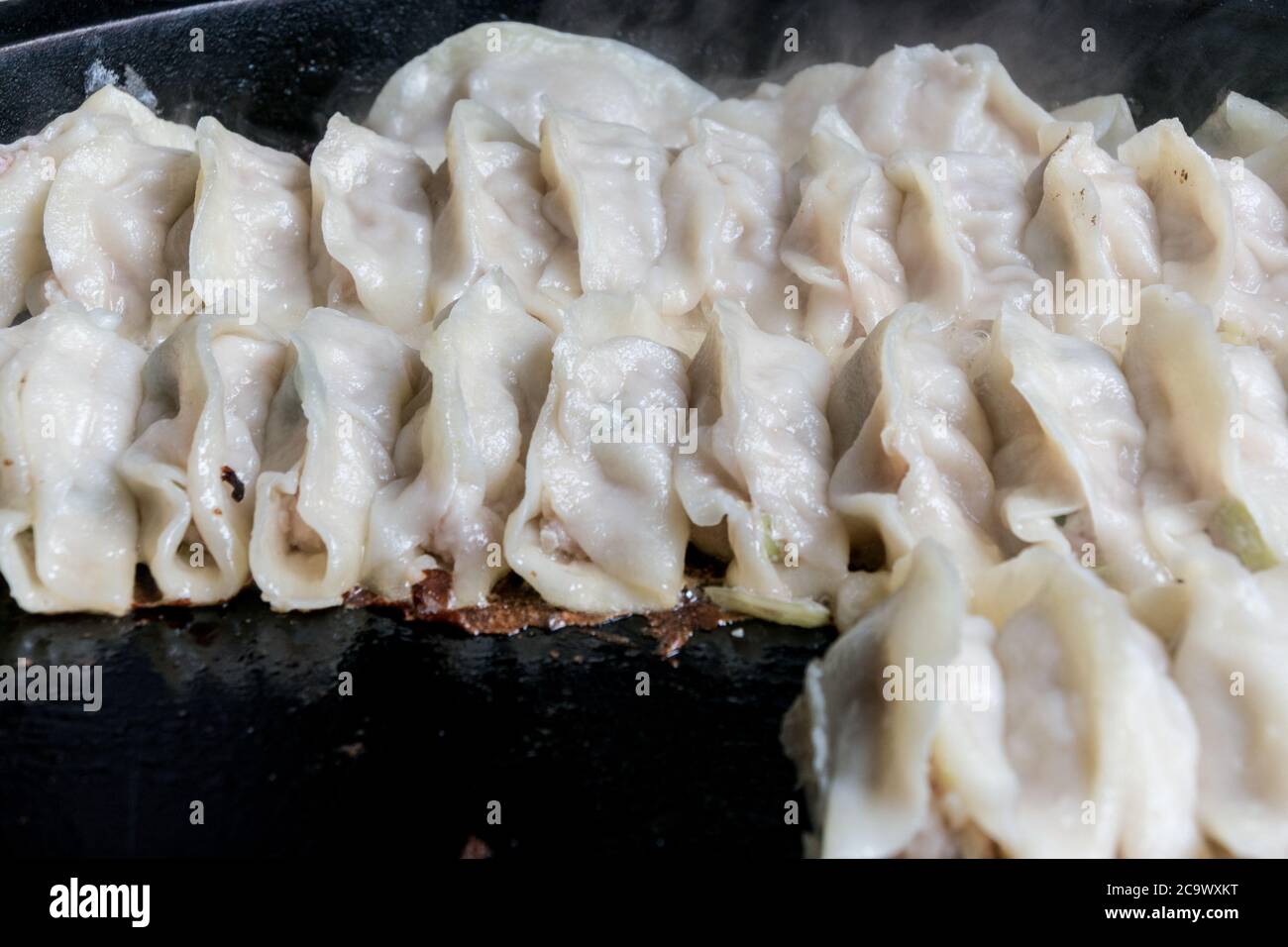 Making homemade Gyoza - taiwan Dumplings in frying pan. Traditional ...