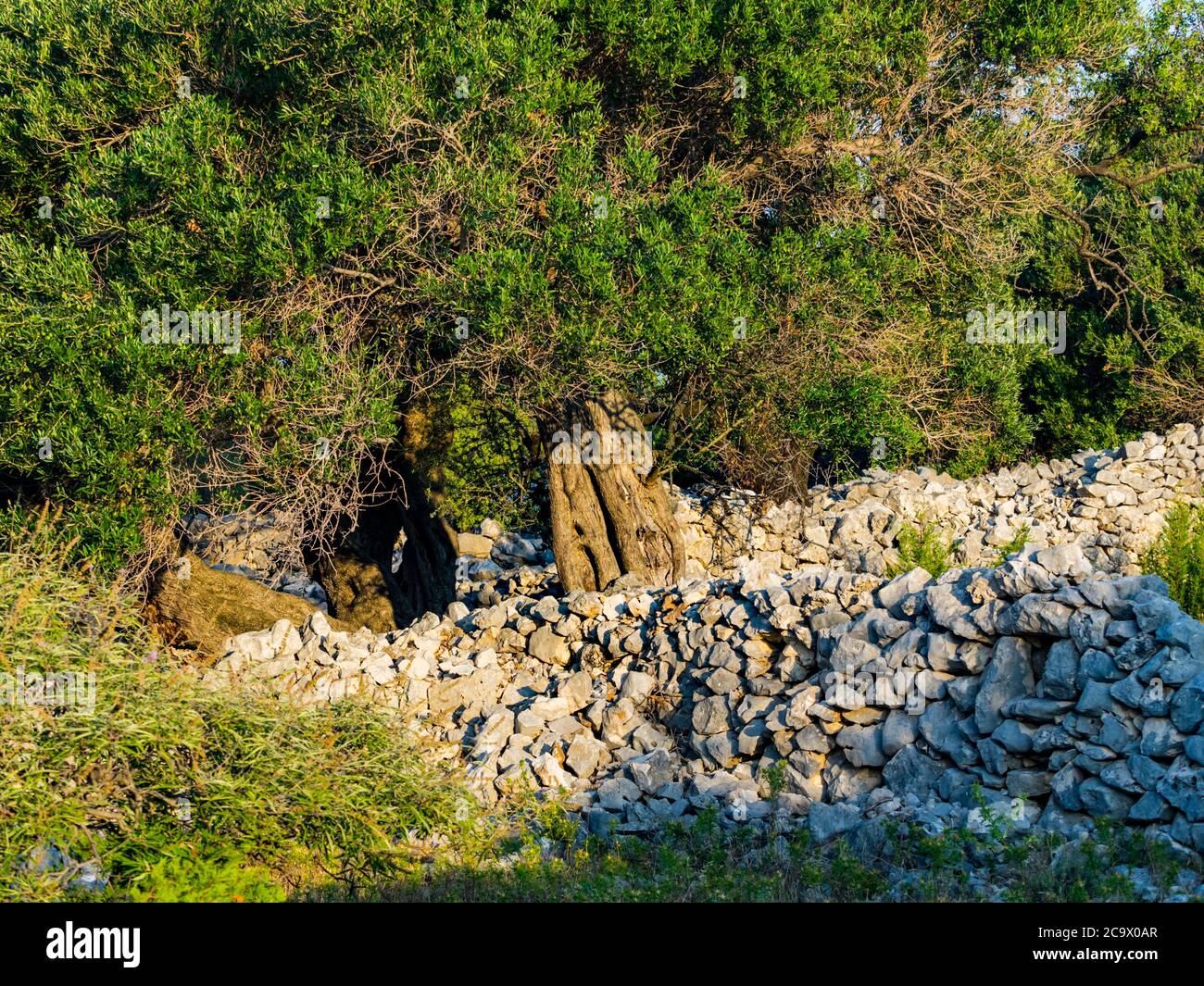 google-aware index keywords Stock Photo - Alamy