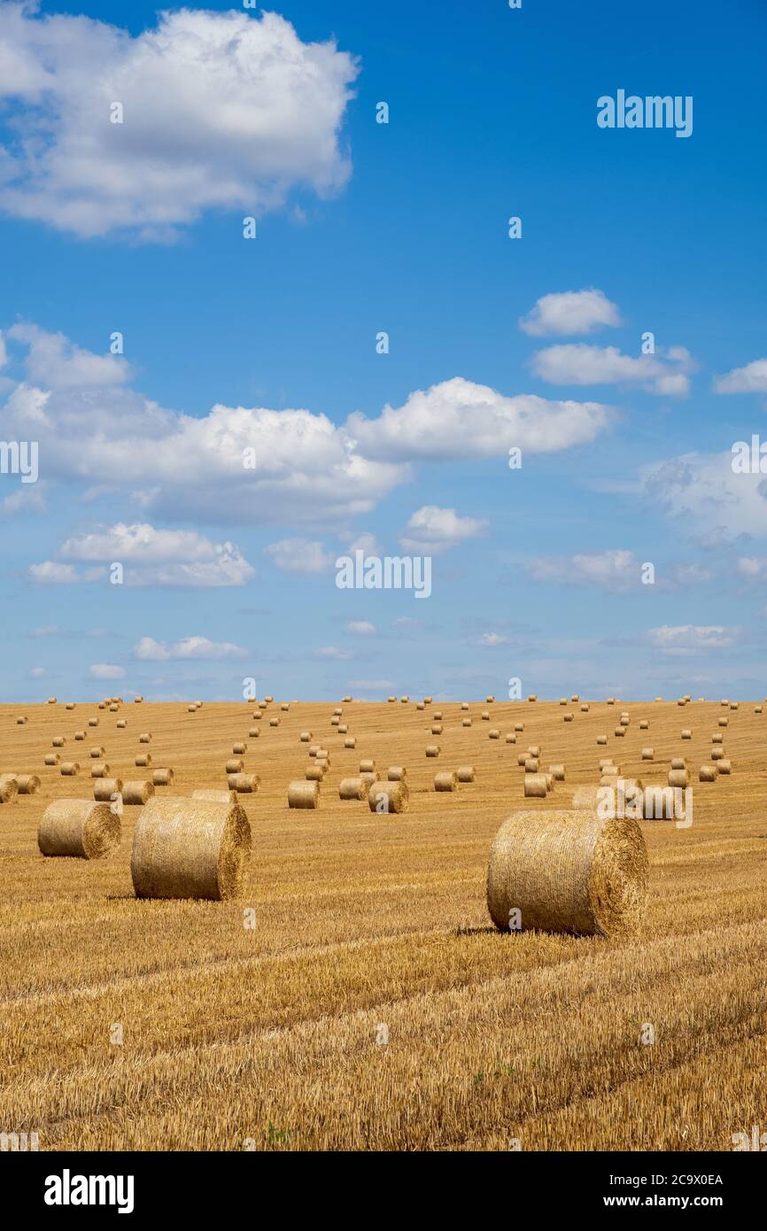 Hay bales on the field after harvest. Beautiful countryside landscape ...