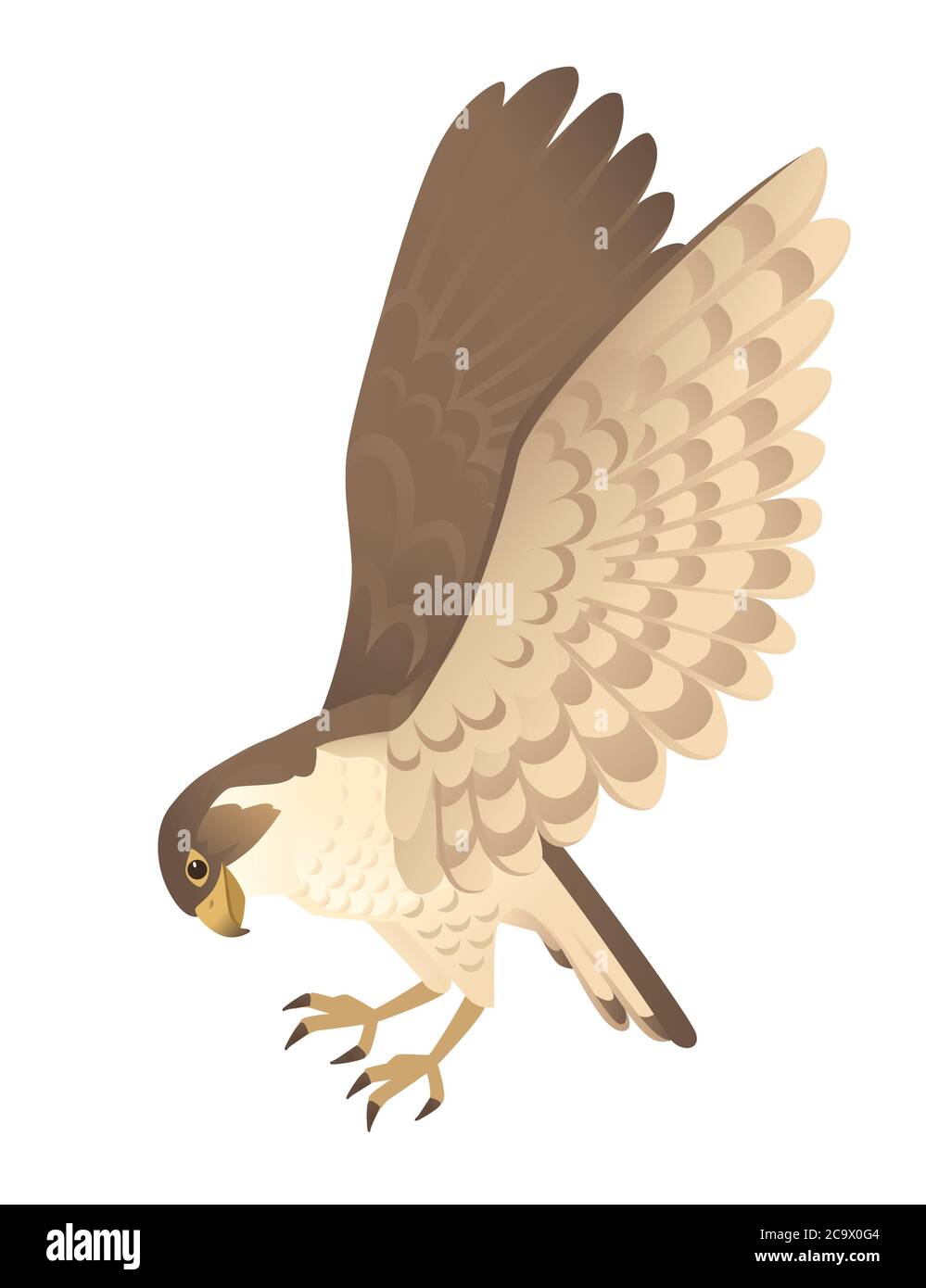 Cartoon falcon hi-res stock photography and images - Alamy