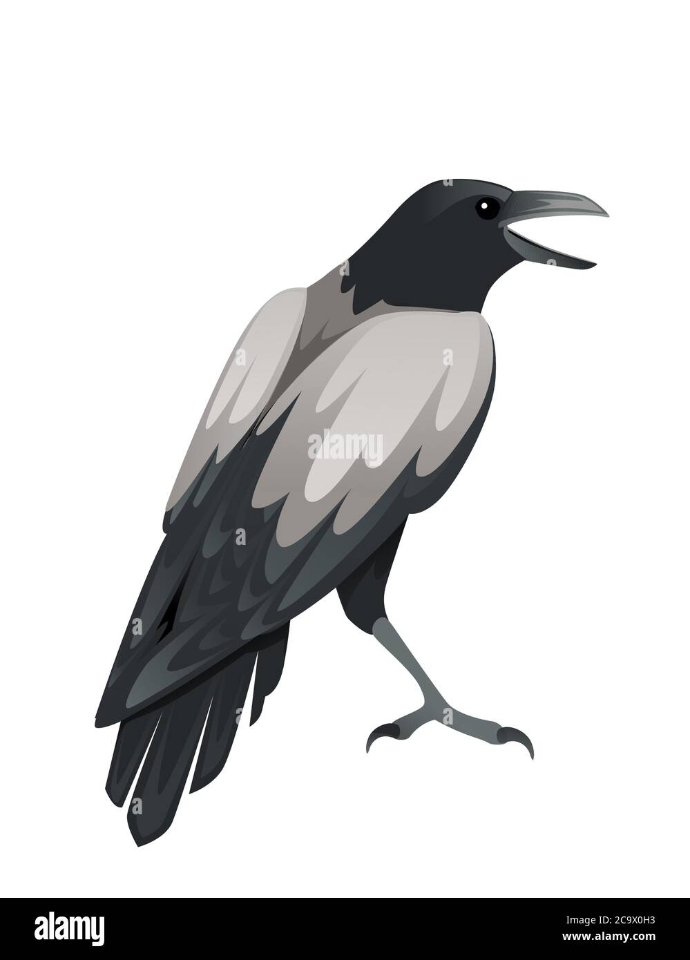 Predatory bird adult black and gray crow cartoon animal design birds of ...
