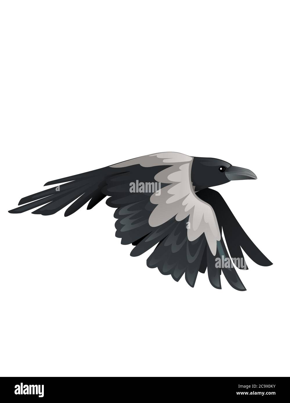 Predatory bird adult black and gray crow cartoon animal design birds of ...