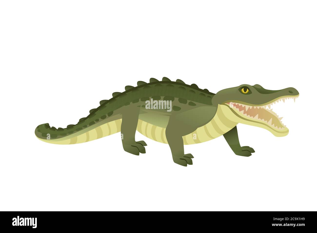Green crocodile character big carnivore reptile cartoon animal design ...