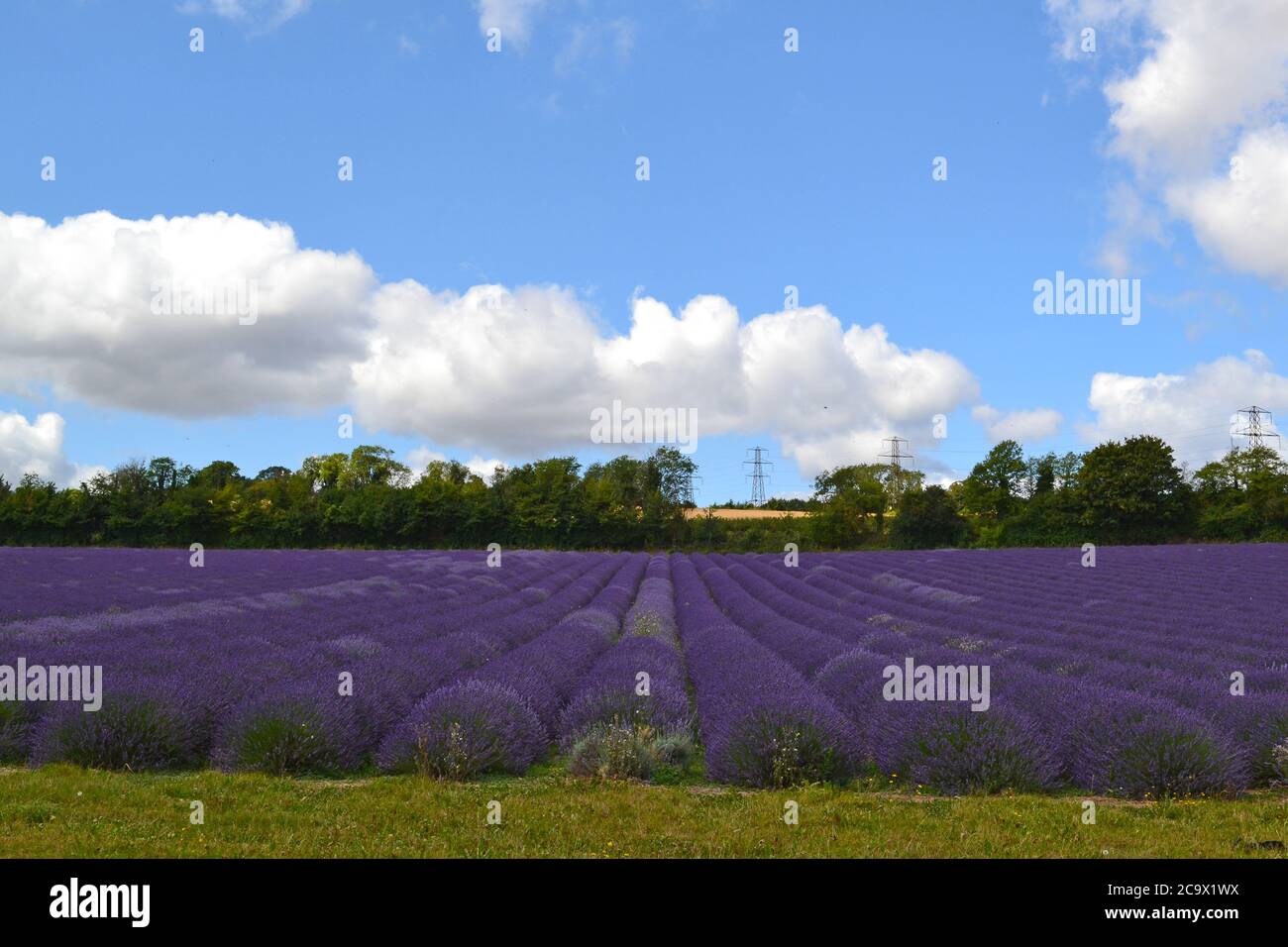 Lullingstone castle eynsford hi-res stock photography and images - Alamy