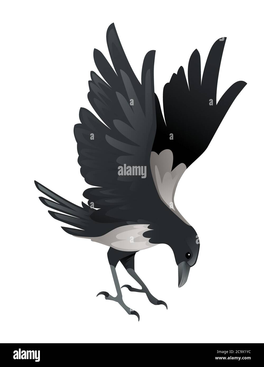 Predatory bird adult black and gray crow cartoon animal design birds of ...