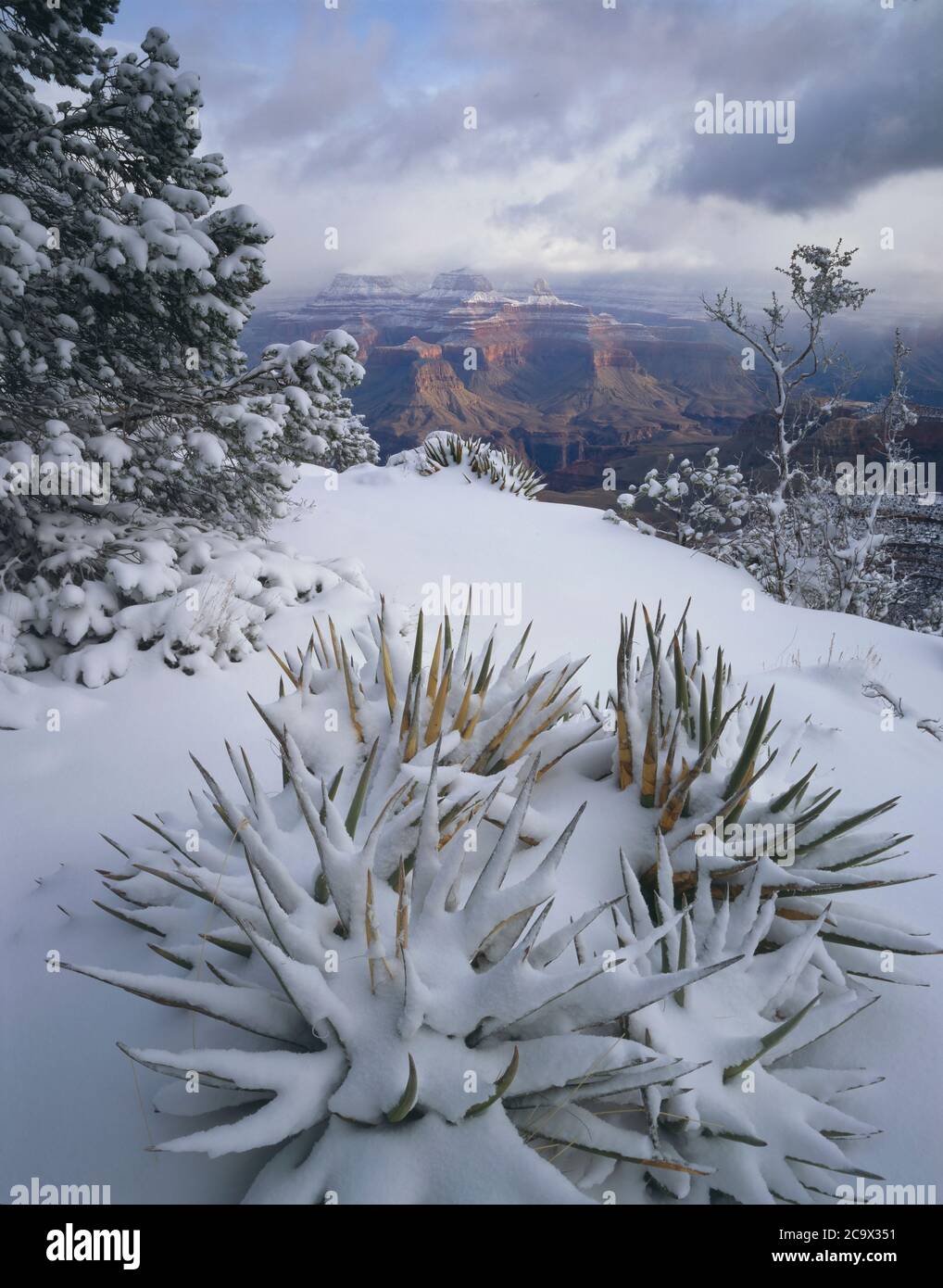 Zoroaster hi-res stock photography and images - Alamy