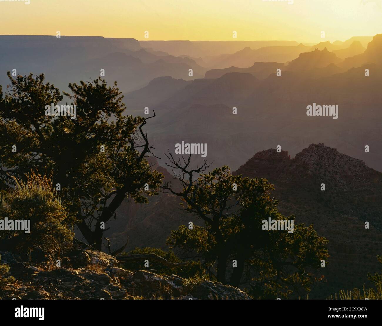Grand Canyon National Park AZ (south rim) JULY Angels Gate is among the ...