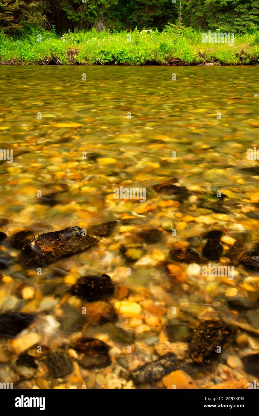 St. Joe Wild and Scenic River, St. Joe National Forest, St. Joe River ...