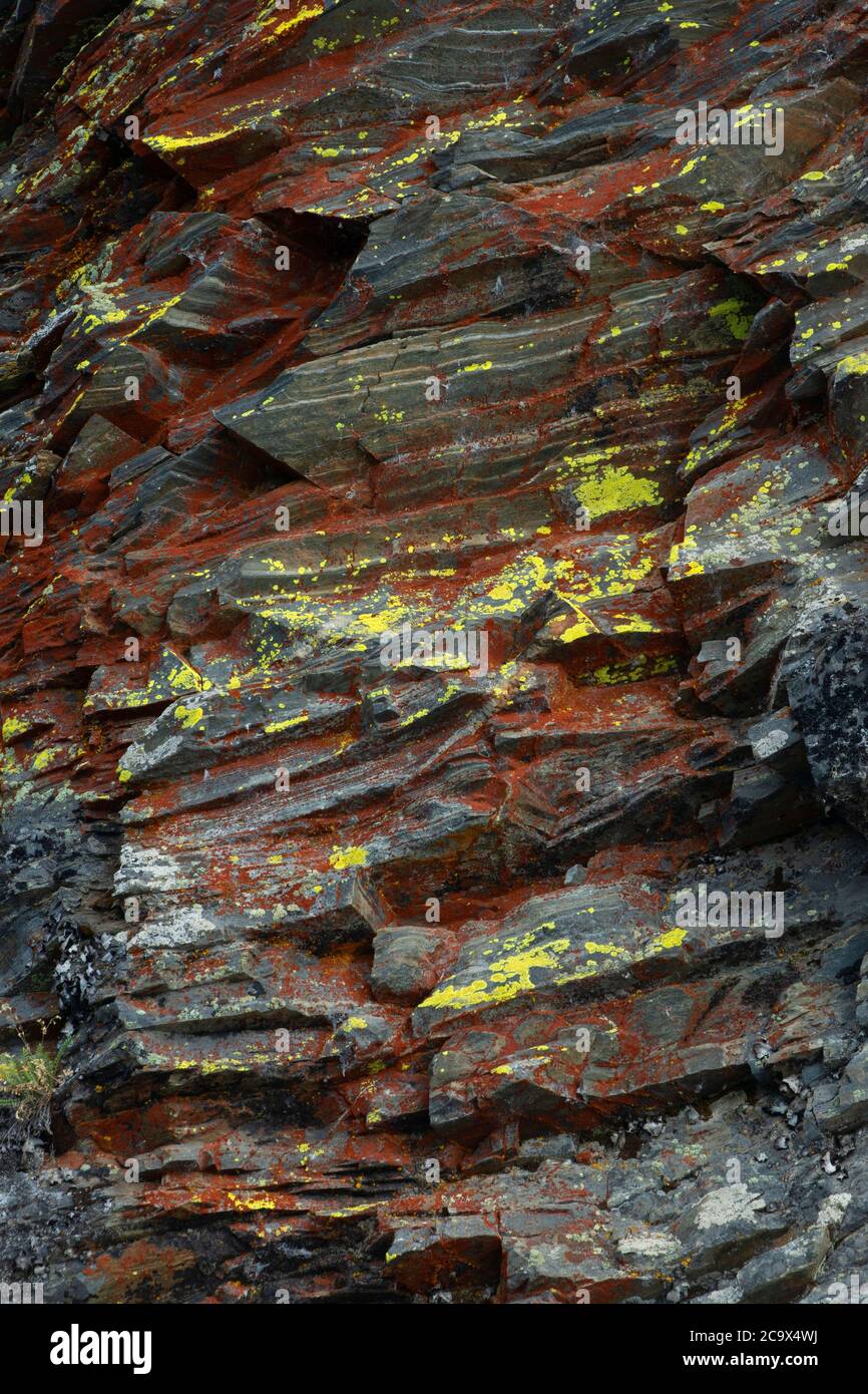 Lichen on cliff, St. Joe Wild and Scenic River, St. Joe National Forest ...