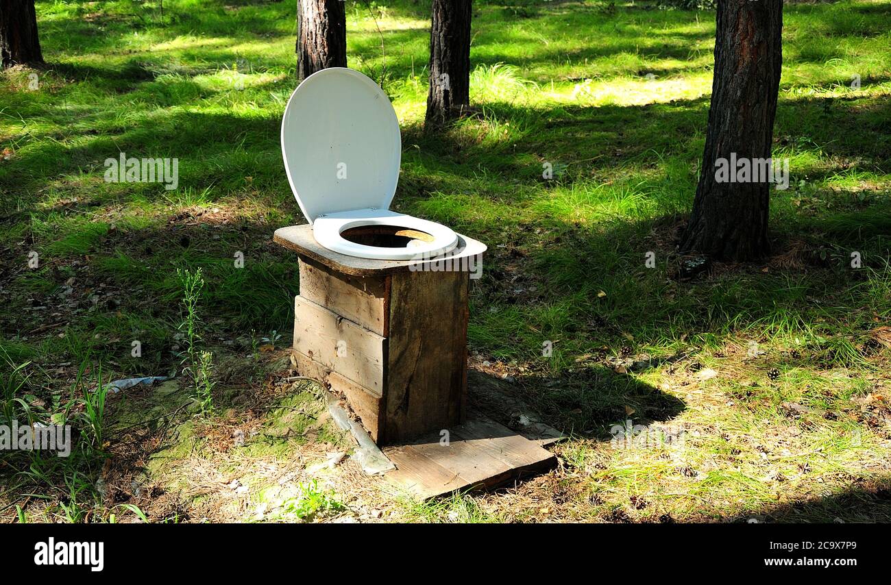 Homemade toilet with an open white lid standing in a pine forest. Close ...