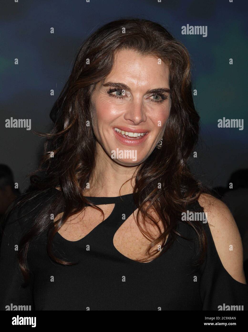 Brooke Shields, 2010, Photo By John Barrett/PHOTOlink Stock Photo - Alamy