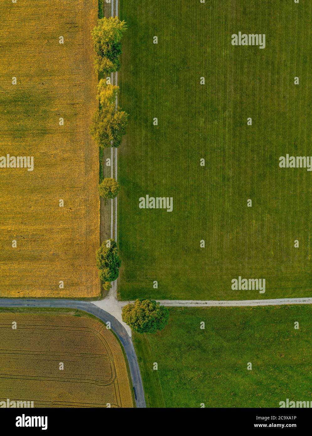 Top view photo green hi-res stock photography and images - Alamy